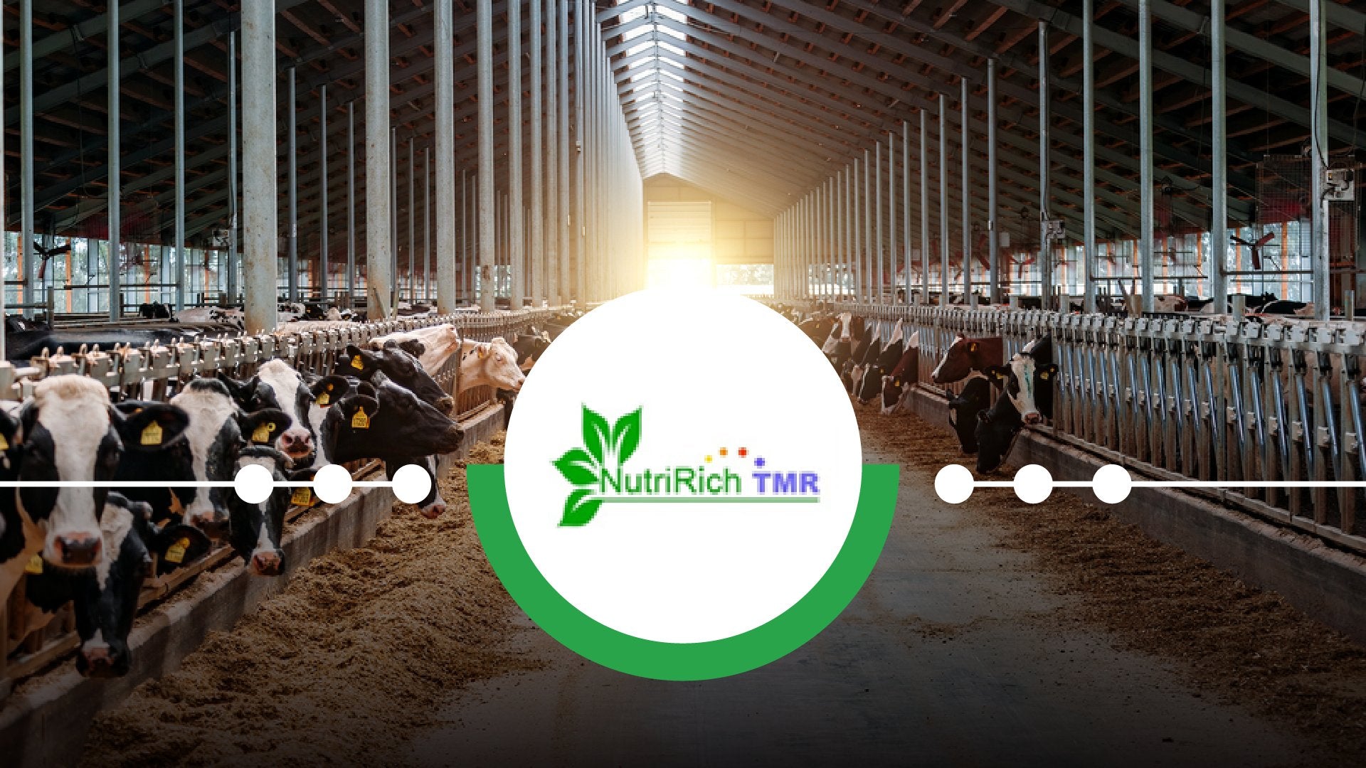 NutriRich Total Mixed Ration – Vishwa Agro Tech