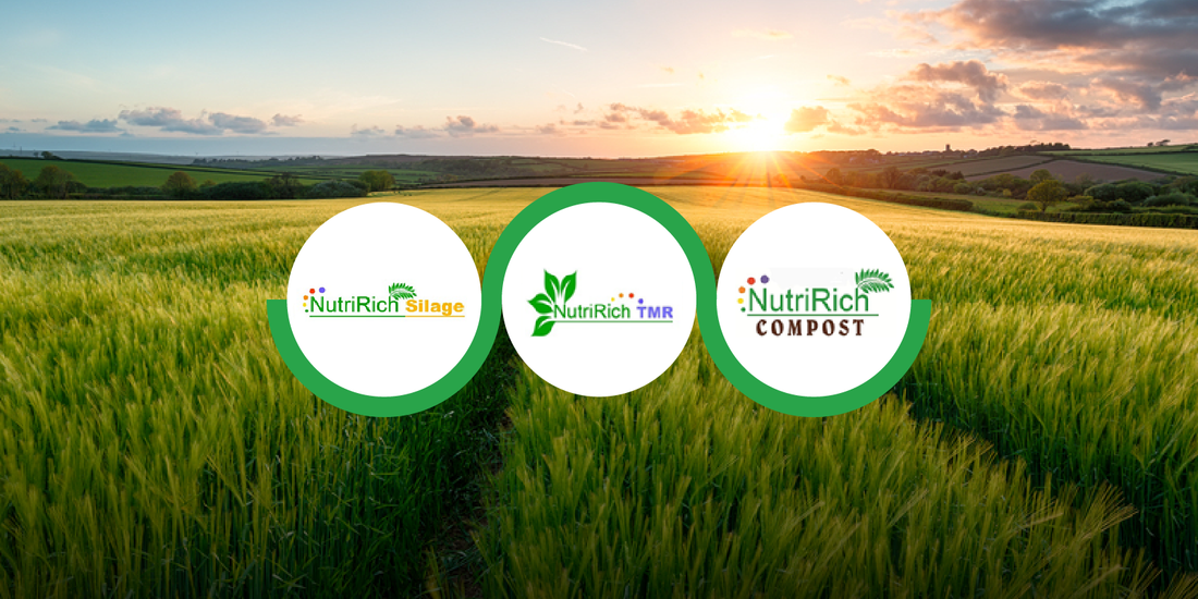 Vishwa Agrotech – Vishwa Agro Tech