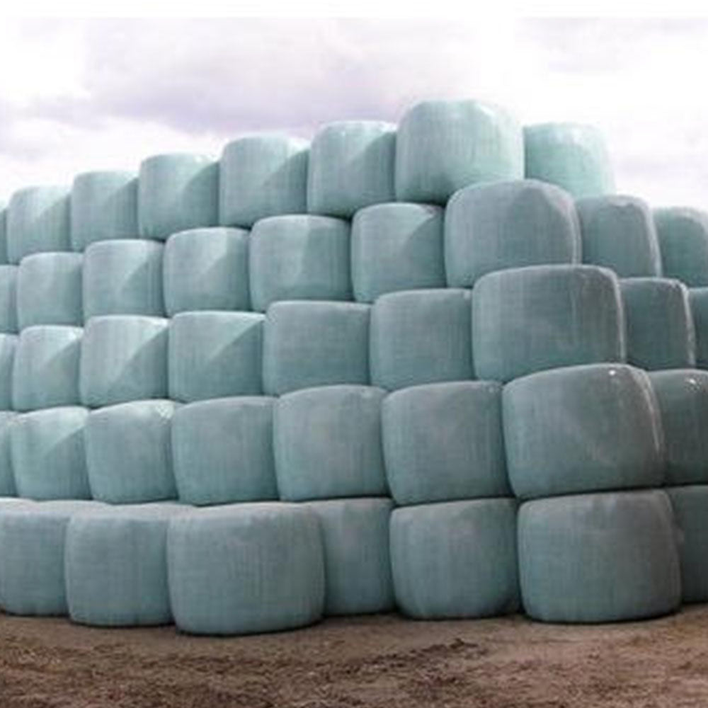 Enhance cattle feed quality with NutriRich Silage from VISHWA AGRO TECH ...